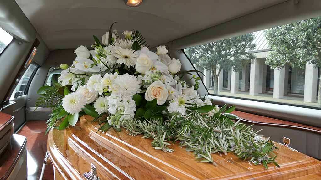 Tamayo Perry, Actor and Surfer, Killed by Shark in Hawaii | Prosper News